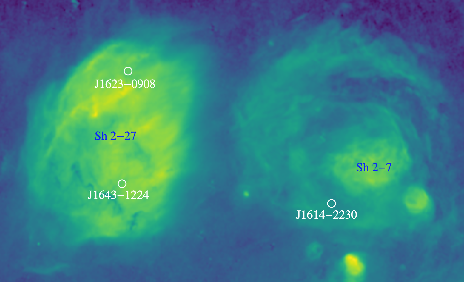 Stella Koch Ocker: Personal Website